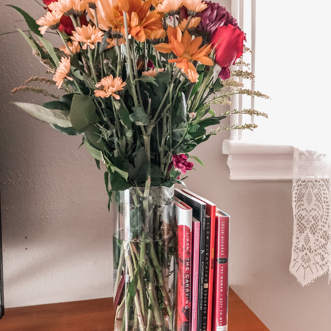 Poems for Hispanic Heritage Month – I Blame My Shelf